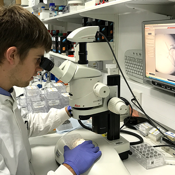 Dr David Wright – Astex